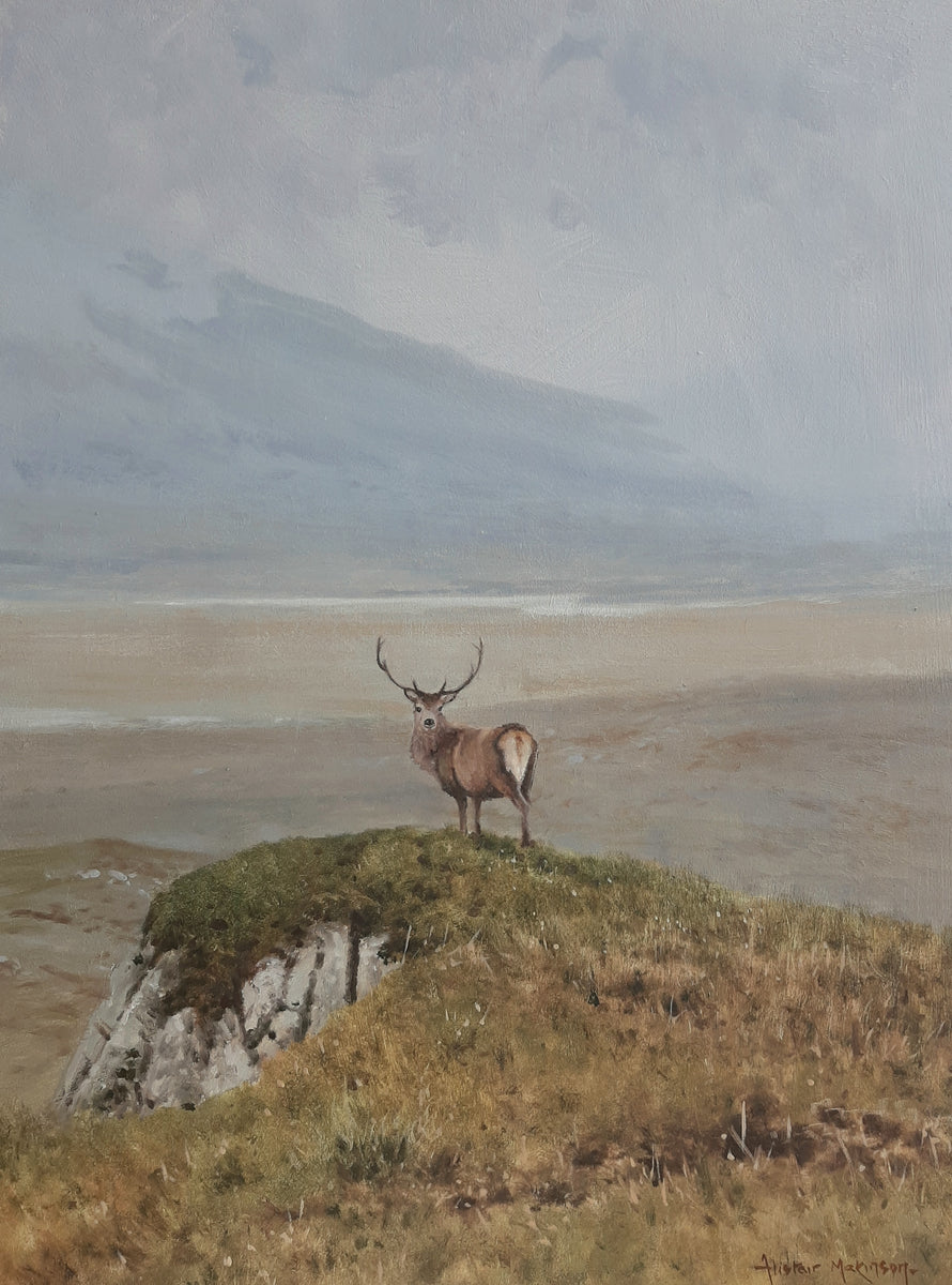 'Lone Stag' - Original Oil Painting by Alistair Makinson - 30 x 40cm ...