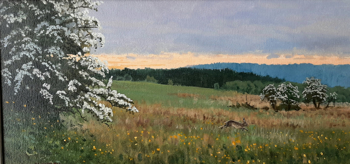 'Hare at Dusk' - Original Oil Painting by Alistair Makinson - 20 x 40c ...
