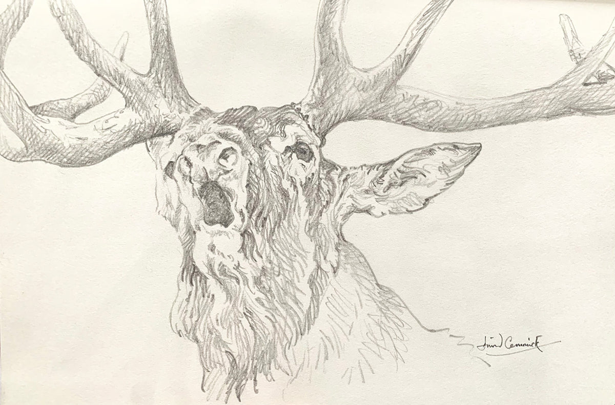 'Roaring Stag 2’ - Original Pencil Drawing by David Cemmick - 20 x 30c ...