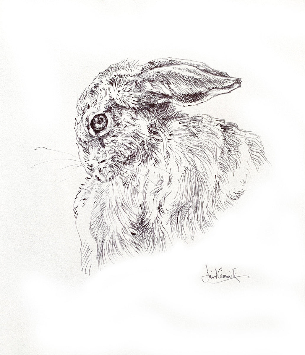 'Hare Grooming’ - Original Ink Drawing by David Cemmick - 30 x 35cm ...