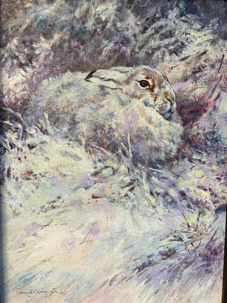 'Mountain Hare’ - Original Oil by David Cemmick - 8 x 10cm – The GWCT ...