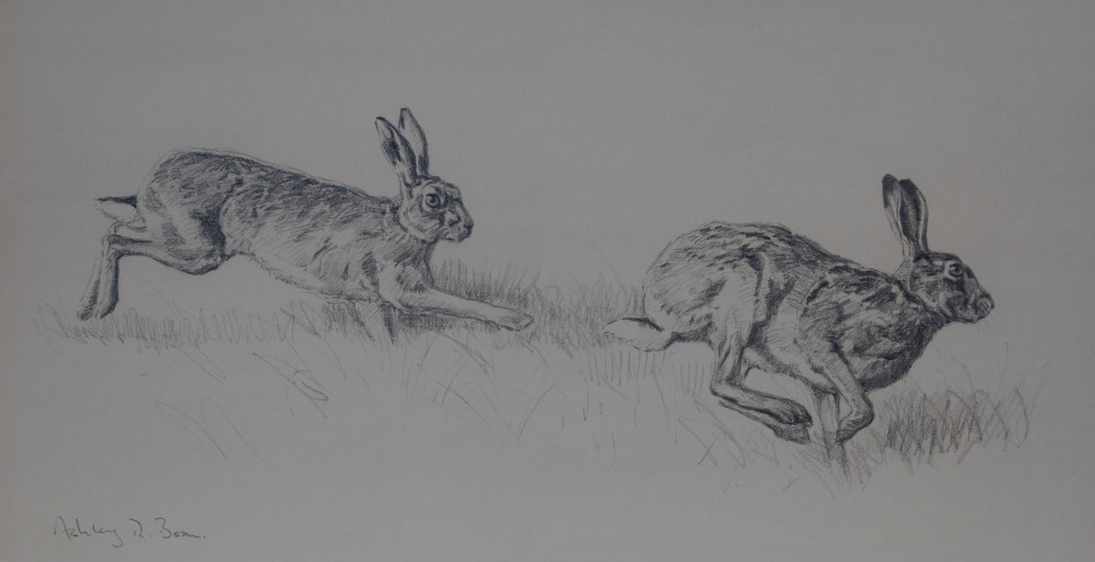 009. 'Chasing Hares' Limited Edition Print (100 only) by Ashley Boon ...
