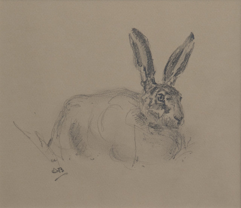 'Brown Hare Sketch I' - Original Pencil Drawing by Ashley Boon - 7.5 ...
