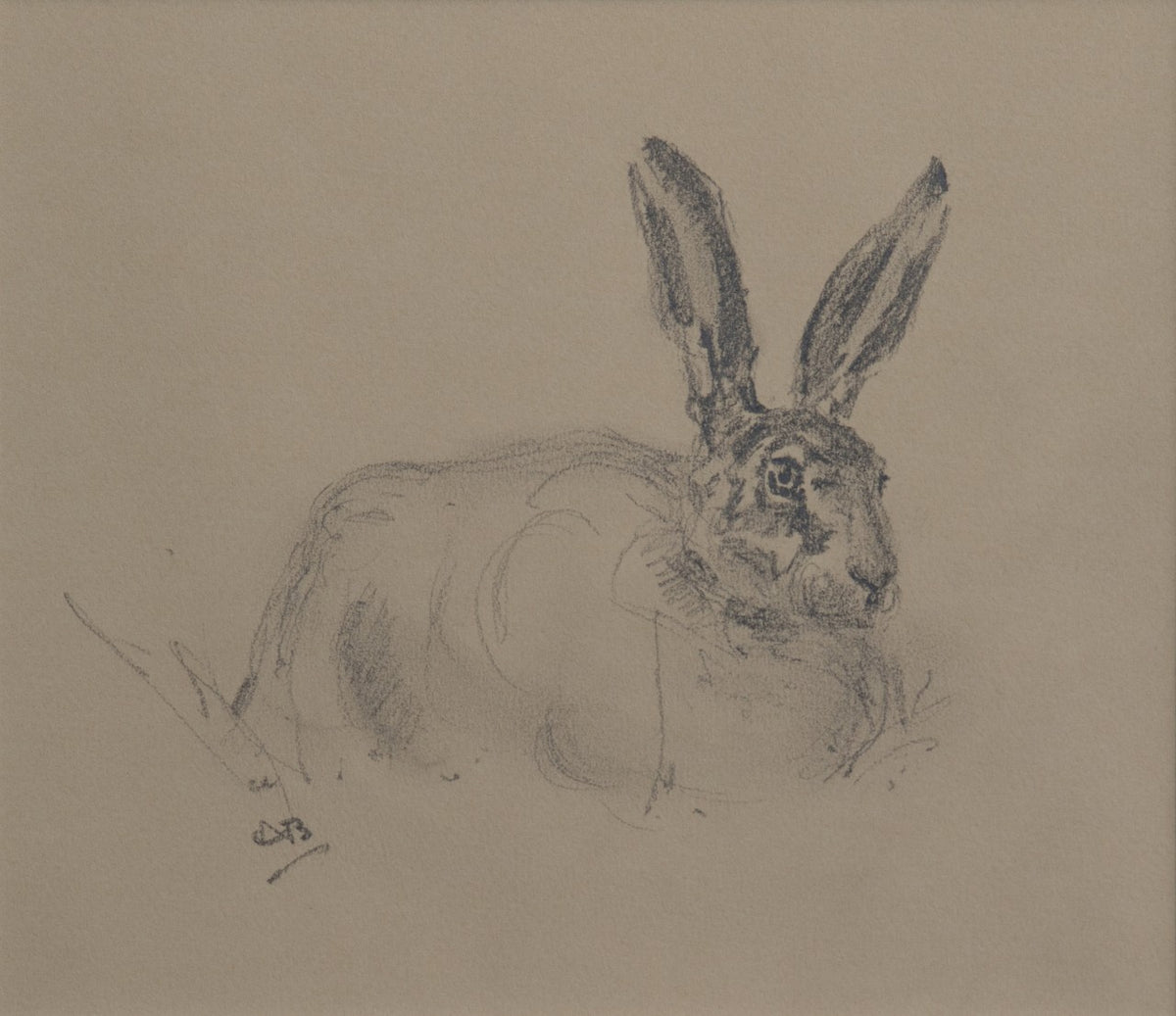 'Brown Hare Sketch I' - Original Pencil Drawing by Ashley Boon - 7.5 ...